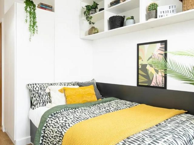 Flat share to rent