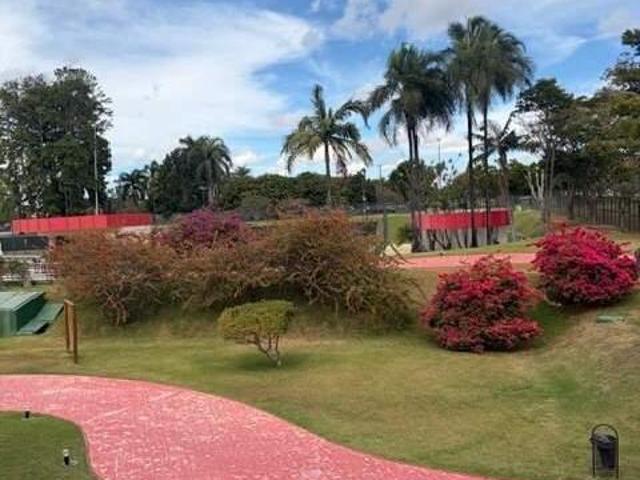 FLAT SHTN GOLDEN TULIP BRASÍLIA ALVORADA