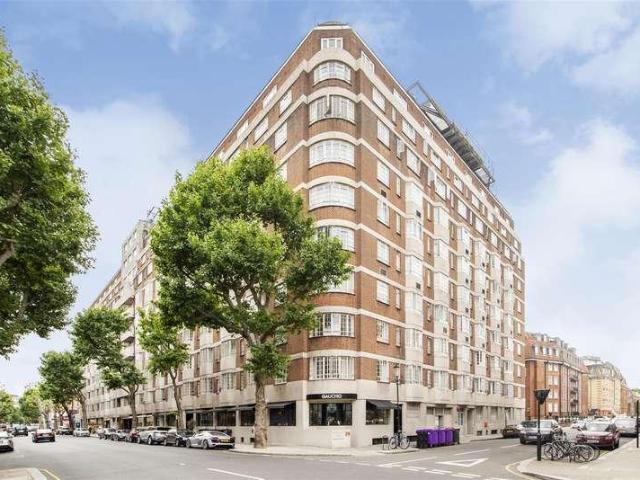 flat to rent