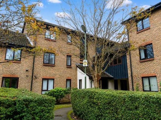 flat to rent