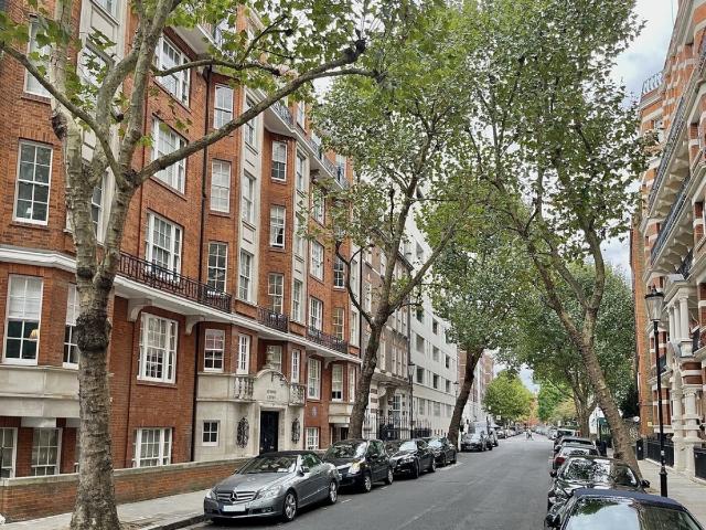 Flat To Rent