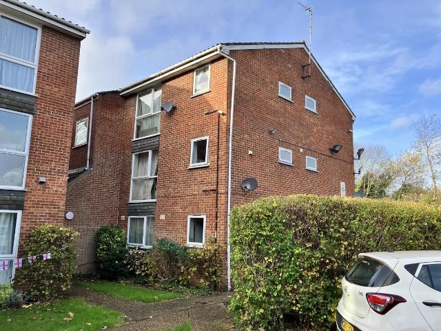 Flat to rent