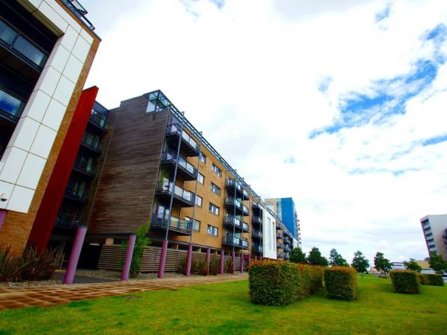 Flat To Rent