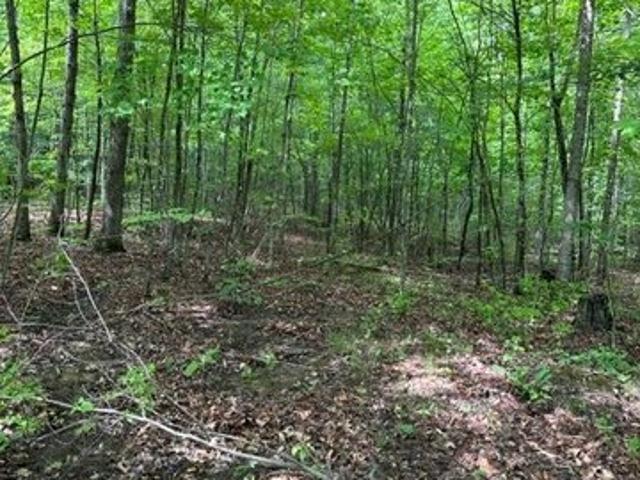 Flat Top Vw Lot 335, Wilder, TN 38589