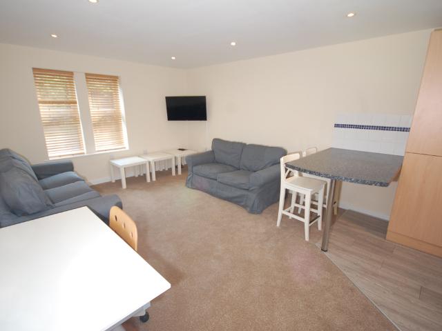 Flat 9 Room 1