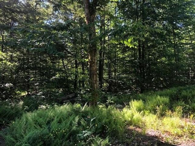 Flag Cove Rd, Bowerbank, Plot For Sale
