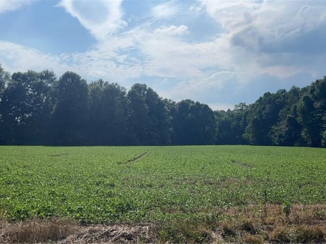 Flagdale