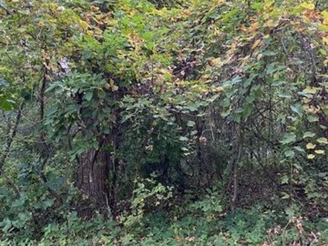Flagler Ave Lot 28, Bloomingdale, MI 49026