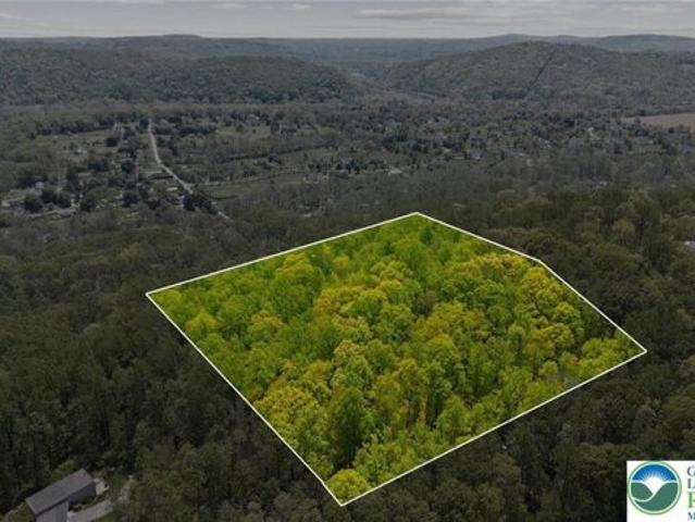 Flagler St, Williams Township, Plot For Sale