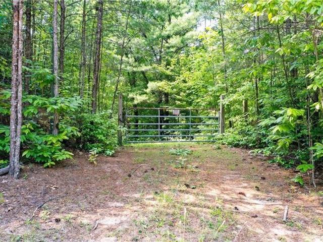 Flagpole Cir, Ellijay, GA 30540