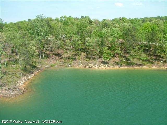Flamingo Lot 54, Arley, AL 35541