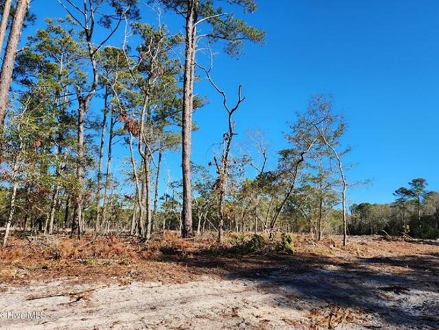 Fletcher Key St Lot 93, Southport, NC 28461