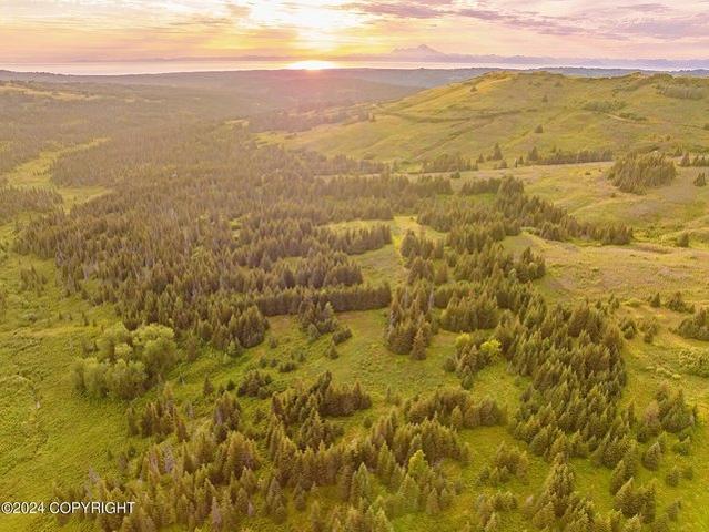 Fletcher Rd, Homer, AK 99603