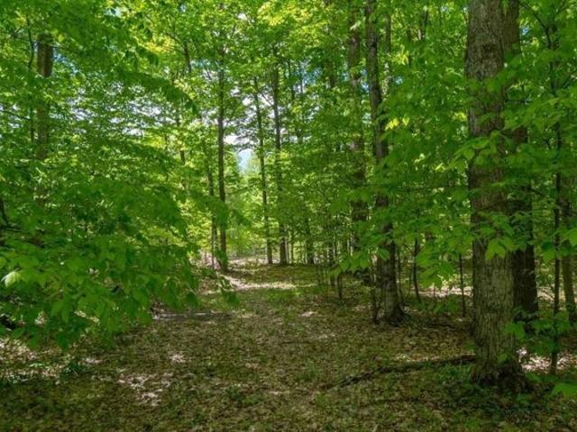 Fleetwood Ct Lot,empire, Plot For Sale