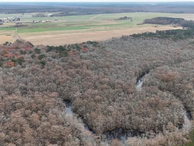 Fleming Mill Rd, Pocomoke City, MD 21851