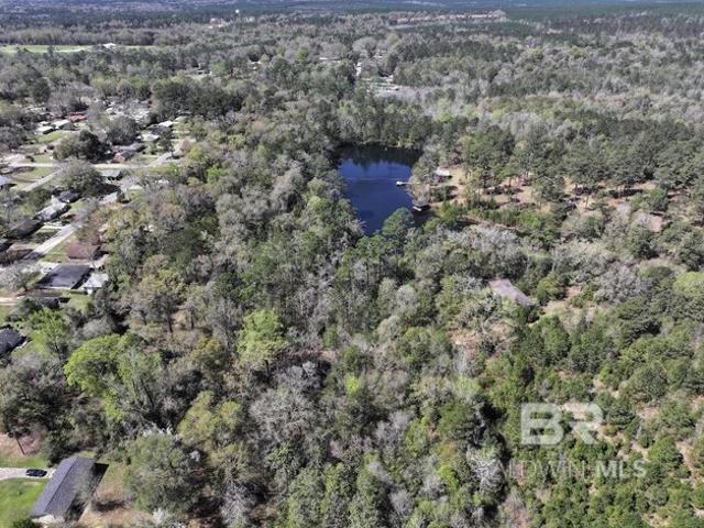 Fleming Ln, Brewton, AL 36426