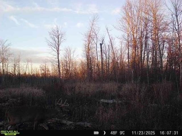 Fleming Logging Rd, Hinckley, MN 55037