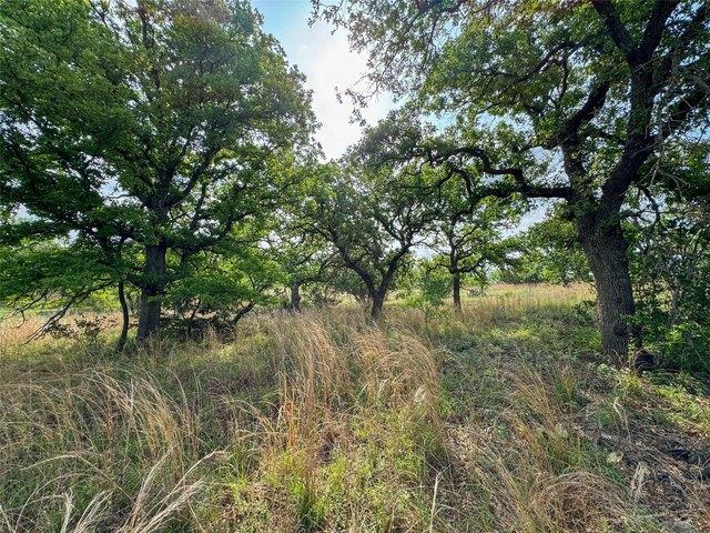 Fly Gap Rd, Mason, TX 76856