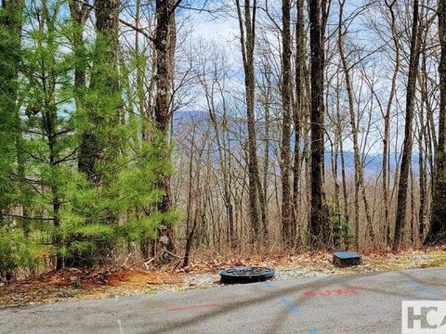 Flyaway Cir Lot 29, Sapphire, NC 28774