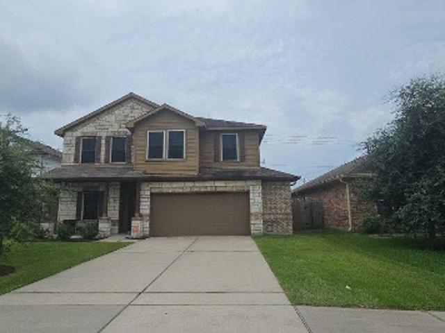 Flycatcher Ct