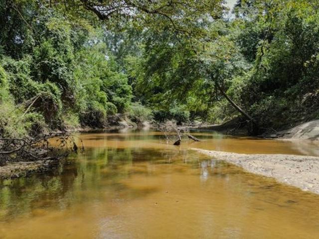 Flynt Rd, Laurel, MS 39443
