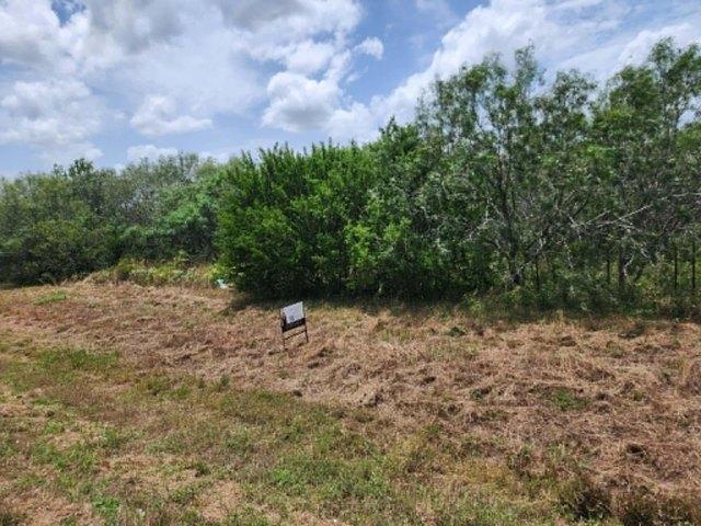 FM 466 St, Cost, TX 78614