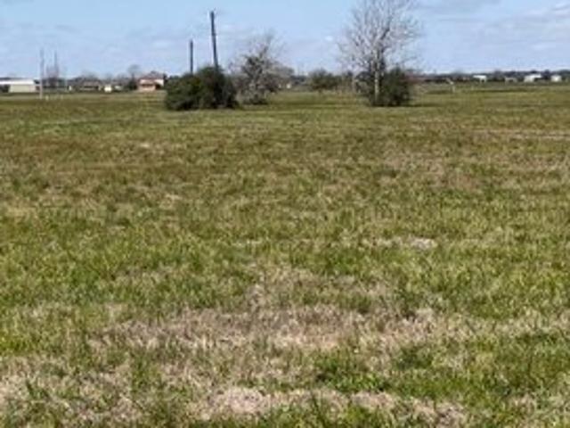 FM 521 Rd, Angleton, TX 77515