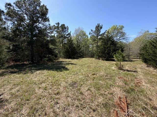 Tract 3 Fm 542, Oakwood, TX 75855