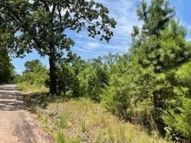 Fm 556 Lot 11, Pittsburg, TX 75686