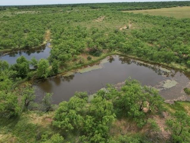 Fm 600, Anson, TX 79501