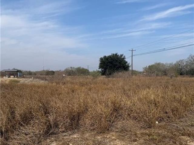 FM 649 Hwy, Roma, TX 78584