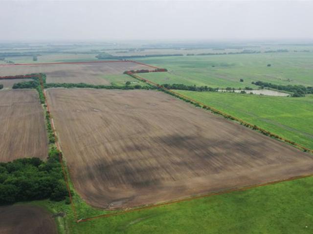 Fm 64, Pecan Gap, TX 75469