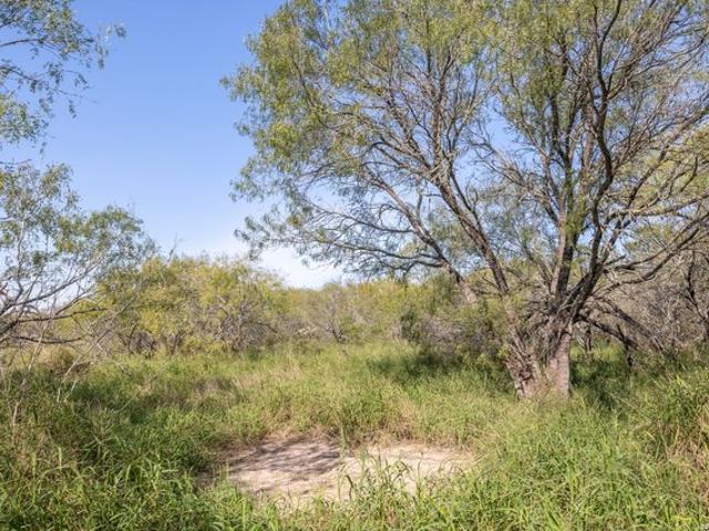 Fm 666 at County Road 1168, Mathis, TX 78368