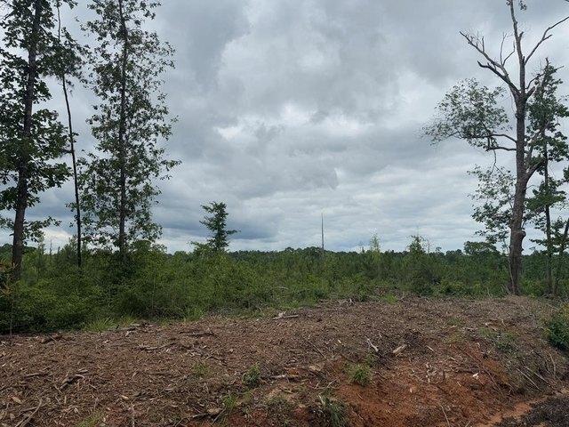 Fm 777, Jasper, TX 75951