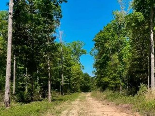 Fm 1005, Jasper, TX 75951