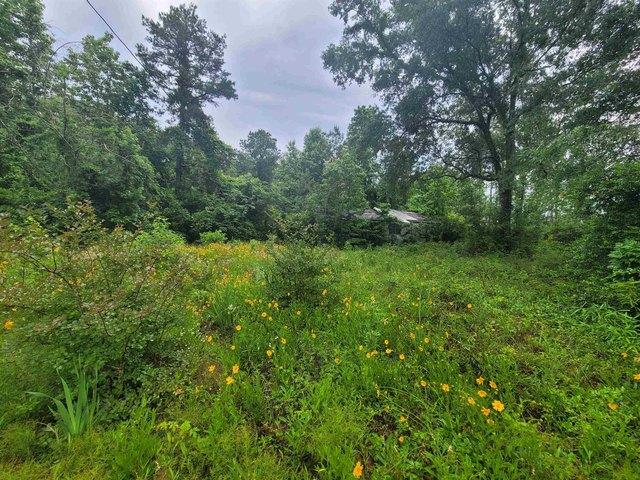 Fm 1012, Newton, TX 75966