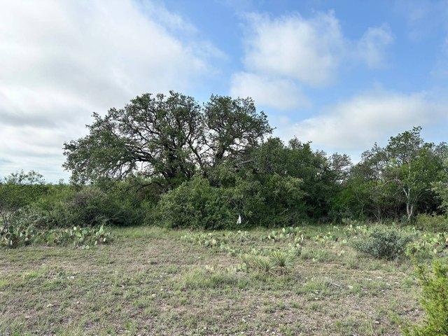 Fm 1121, Brady, TX 76825