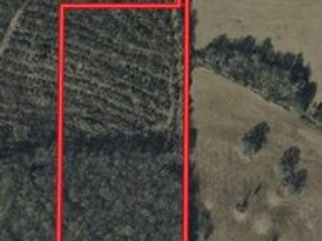 Fm 114, DeKalb, TX 75559