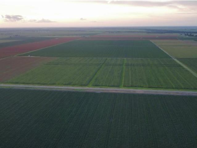 FM 1164 Rd, East Bernard, TX 77435