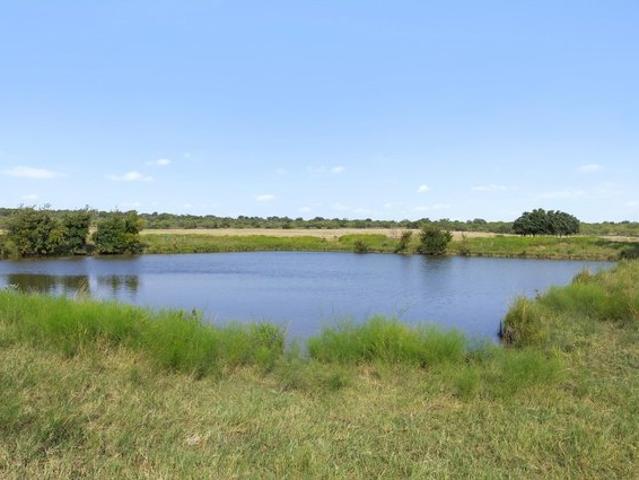 Fm 1176 S, Santa Anna, TX 76878