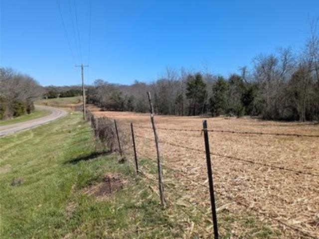 Fm 128 Ss Lot 3, Cooper, TX 75432