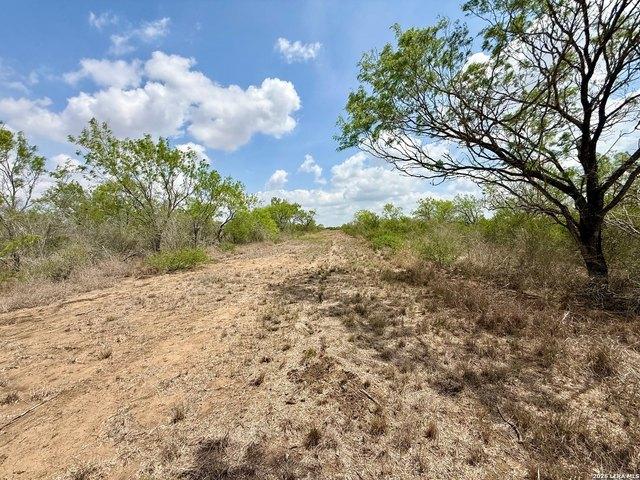 Fm 1332 Lot 4, Jourdanton, TX 78026