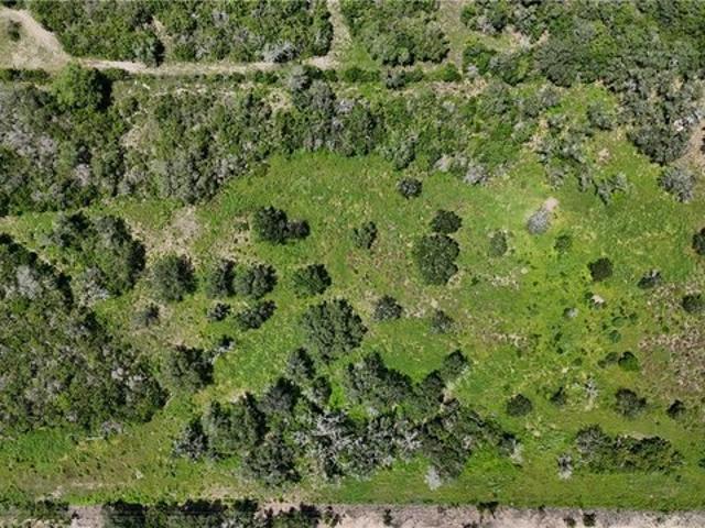 Fm 1351 Lot 9, Goliad, TX 77963