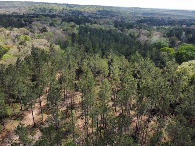 Fm 138, Center, TX 75935