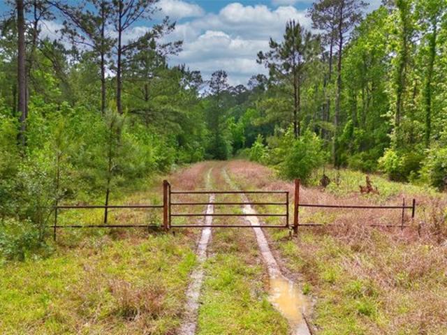 Fm 1409, Dayton, TX 77535