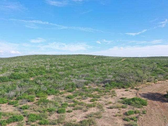 Fm 140 Lot 649, Pearsall, TX 78061