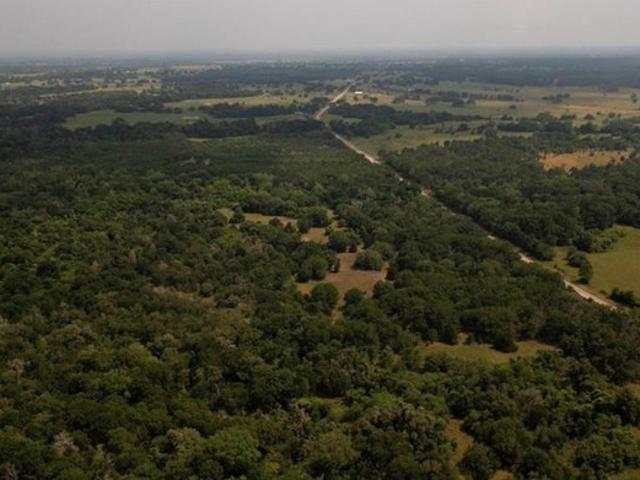 Fm 141, Dime Box, TX 77853