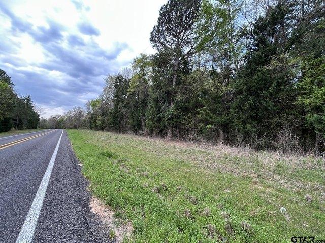 Fm 1519 Lot 3, Leesburg, TX 75451