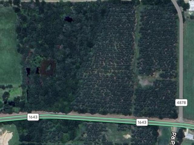 Fm 1643, Winnsboro, TX 75494
