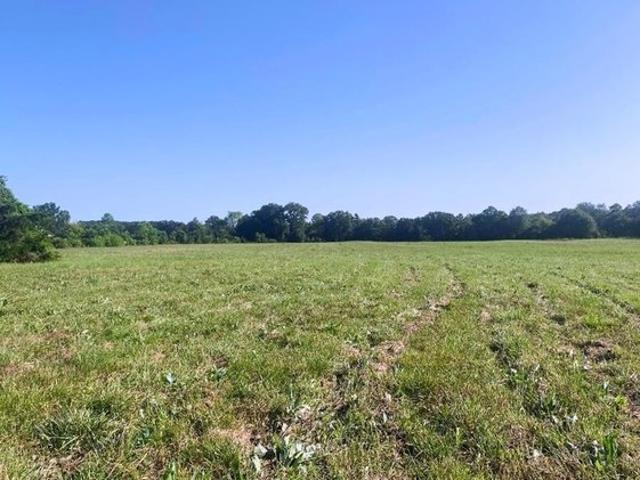 Fm 1840, New Boston, TX 75570